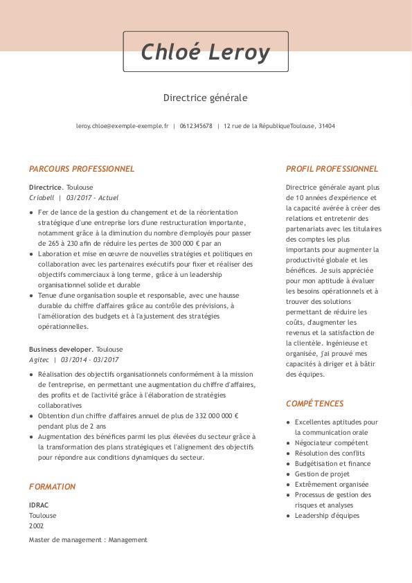 CV comptable : exemples, modèles et guide | monCVParfait