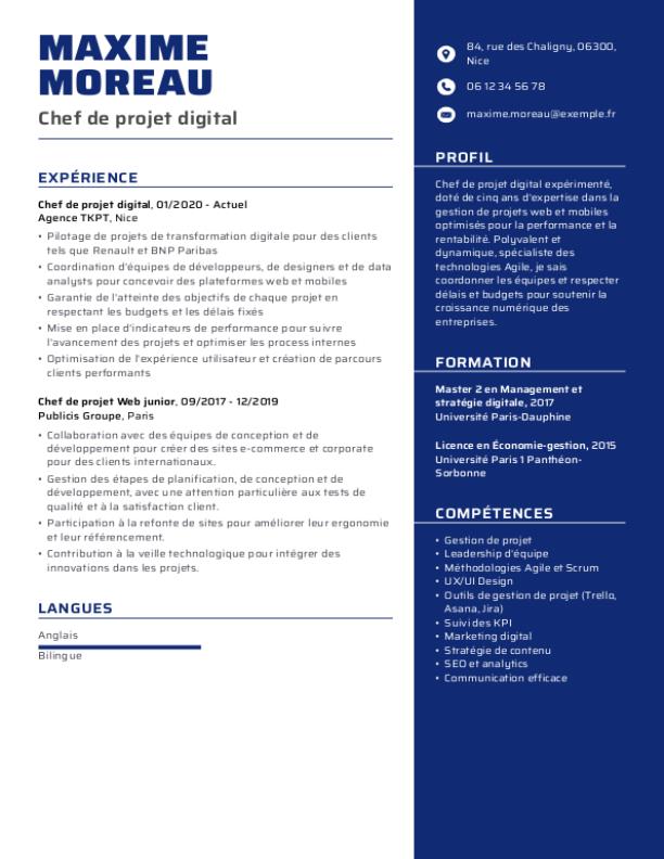 CV chef de projet digital : conseils et modèles